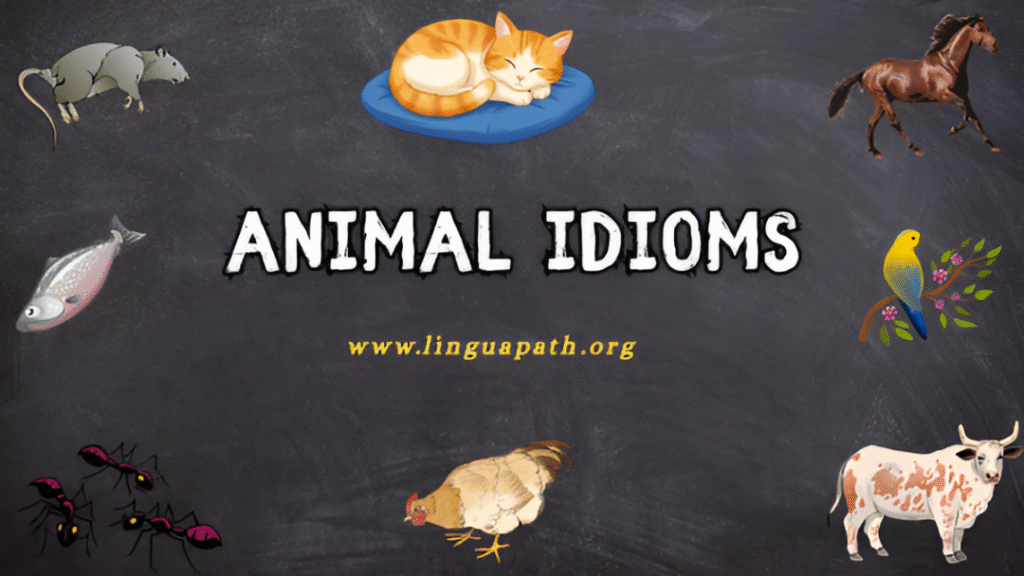 Adverbs of Frequency in English Grammar: Rules and Examples